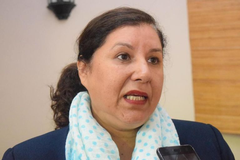 Cerrillos: la intendenta Yolanda Vega fue intimada por Auditoría debido ...